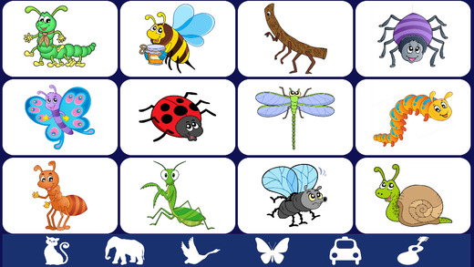 Insectos con sus nombres en español para niños - Imagui
